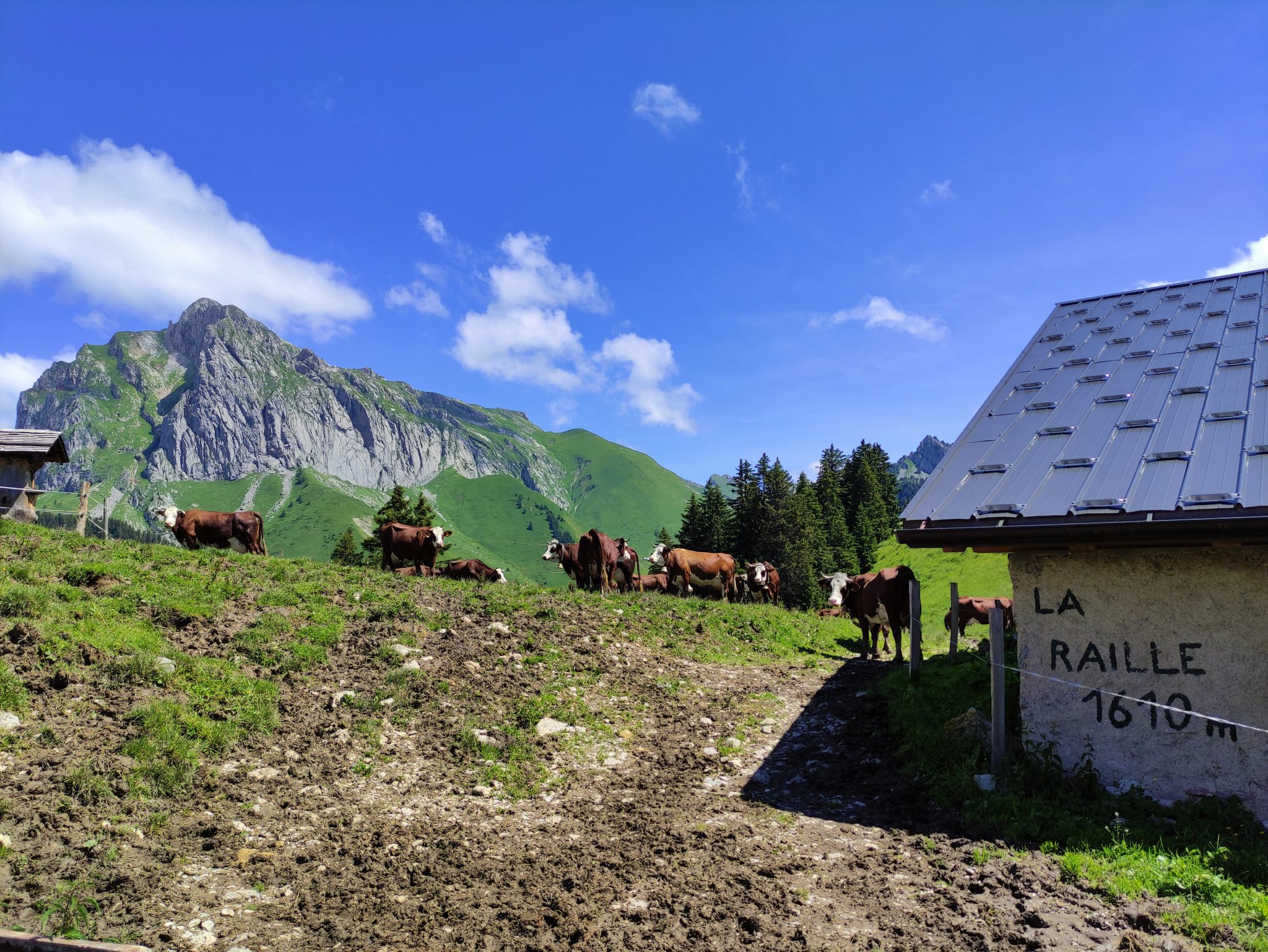 Randonnée : Le chalet de la Raille, La Chapelle d'Abondance - Altitude1989