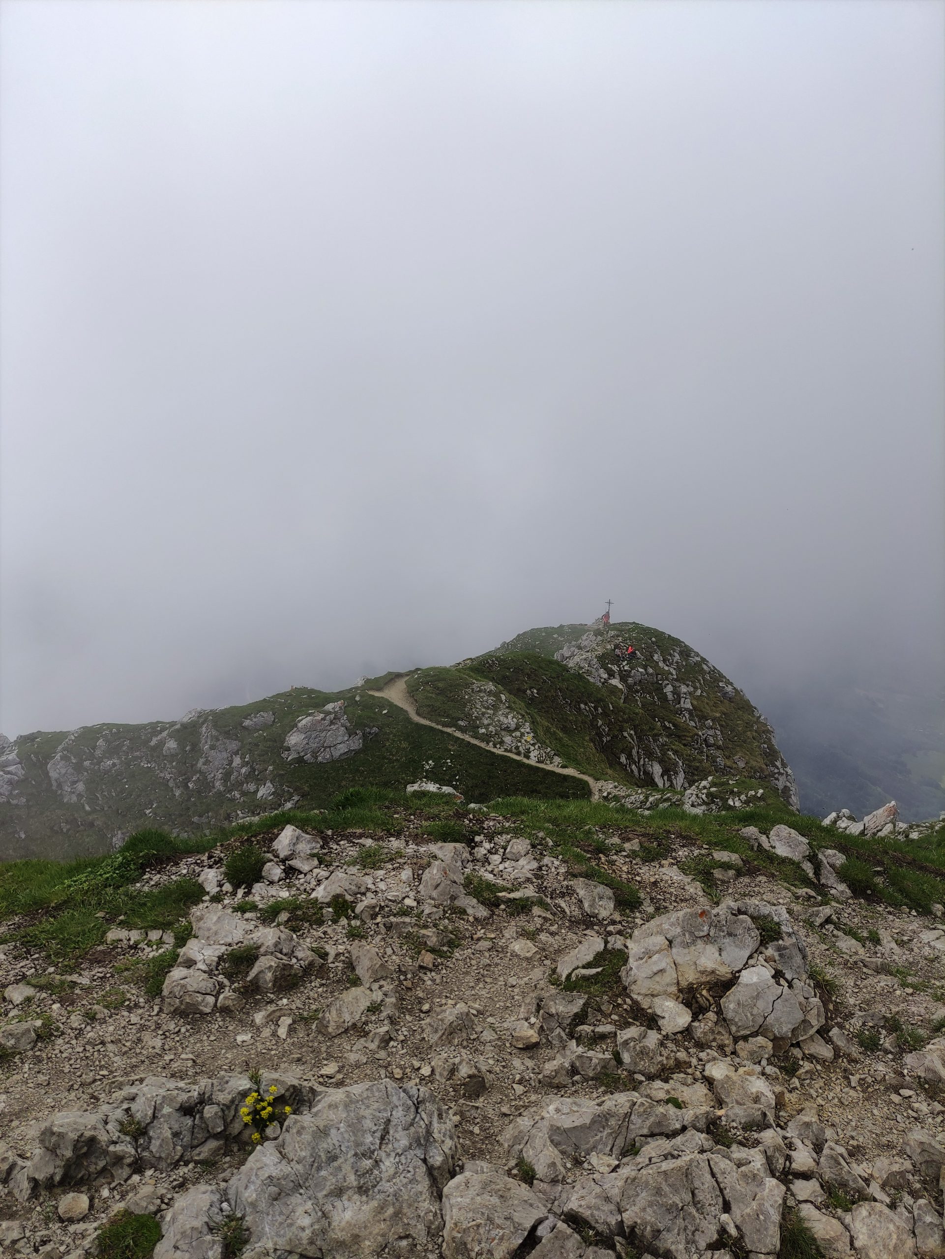 Randonnée : La Dent d'Oche - Altitude1989