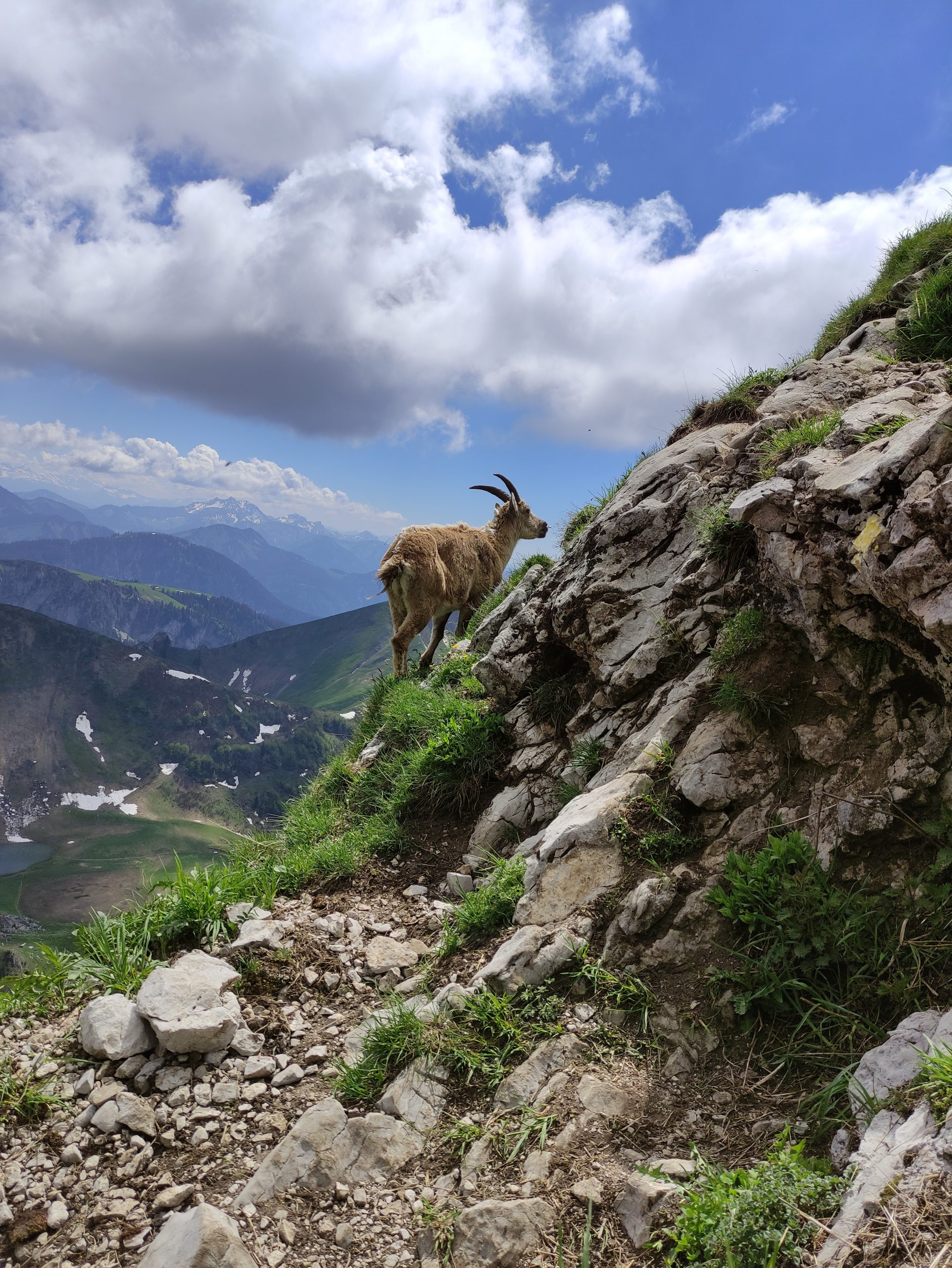 Randonnée : La Dent d'Oche - Altitude1989