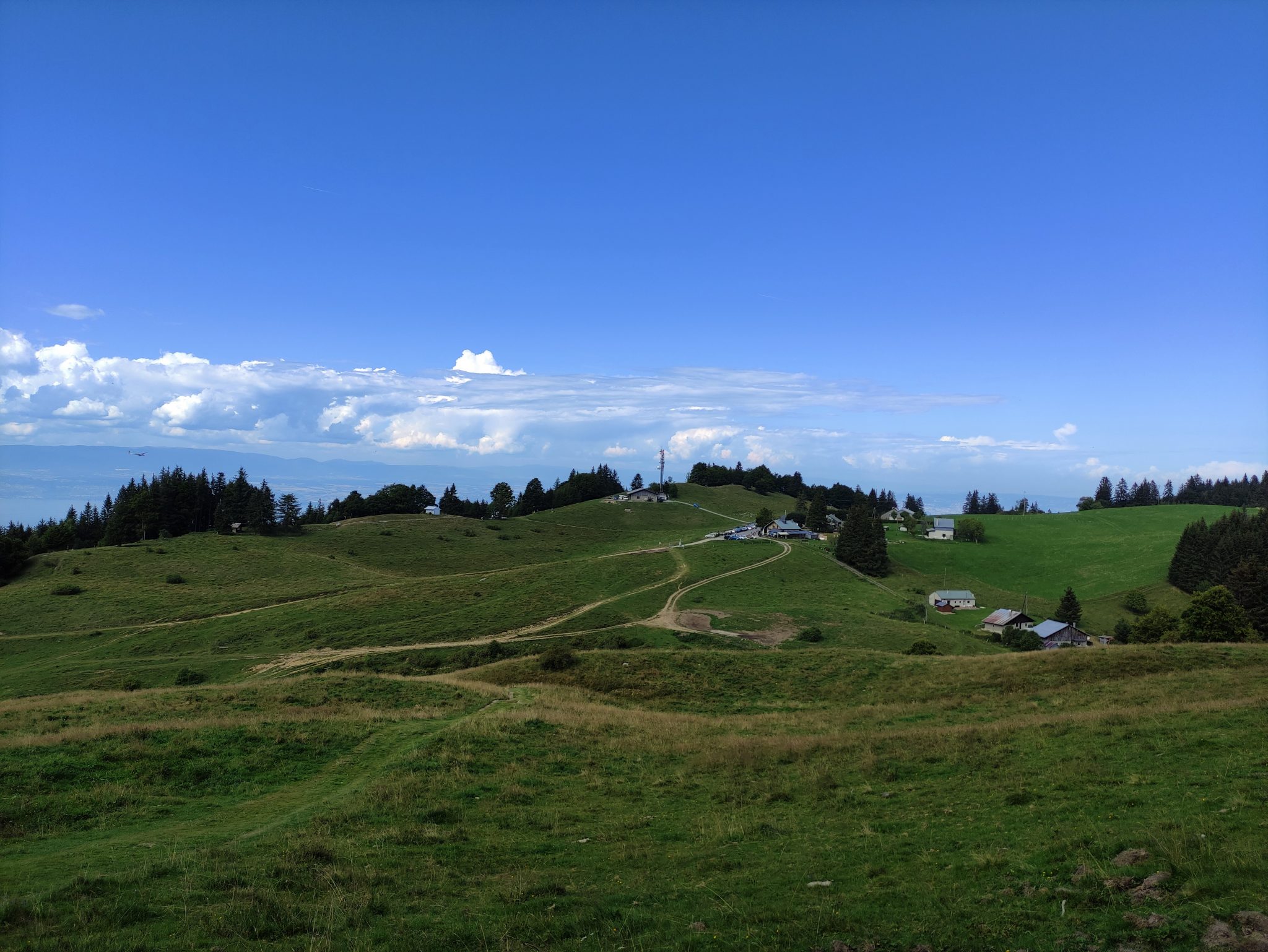 Randonnée : le Mont Forchat - Altitude1989