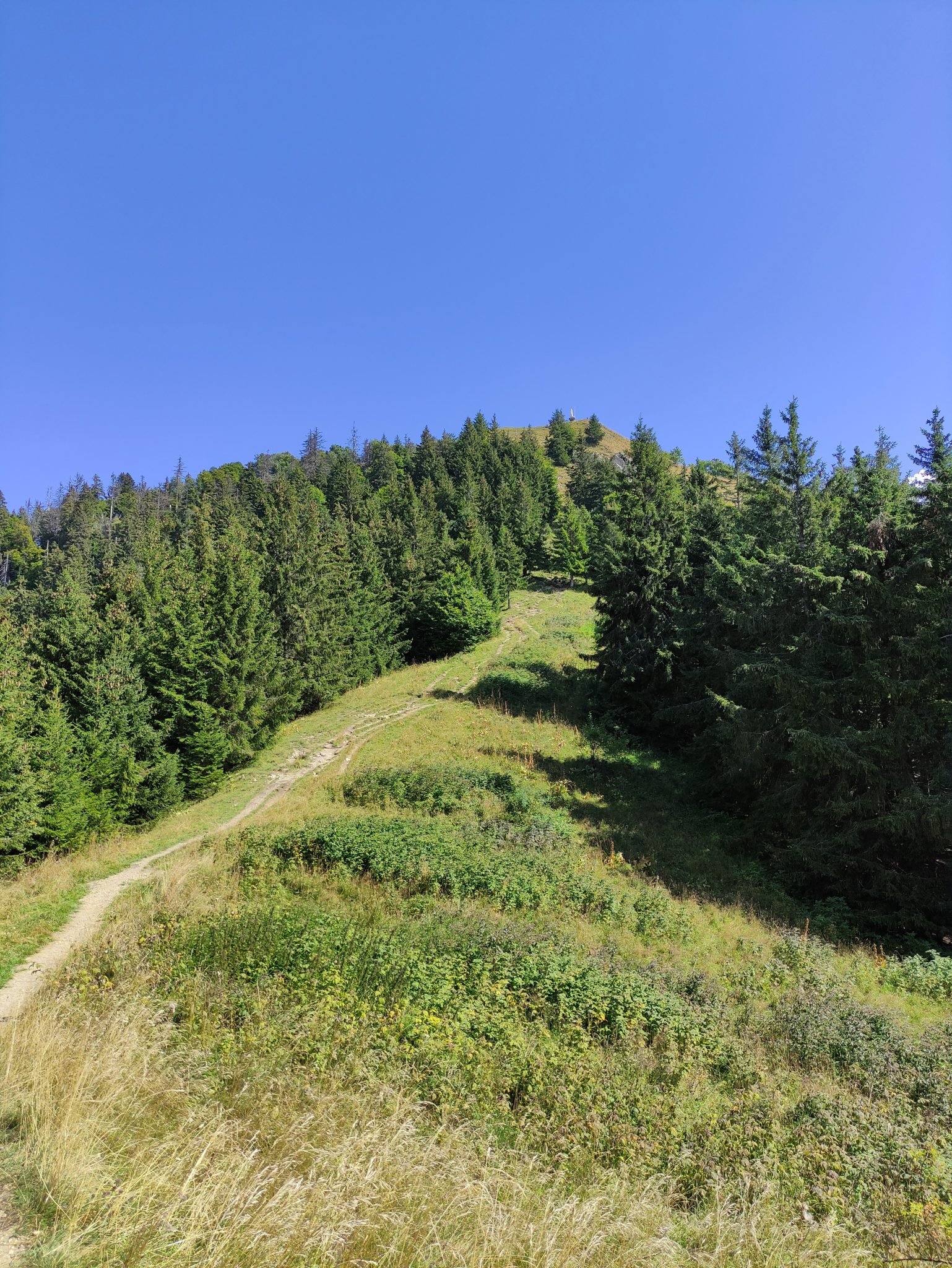 Randonnée : le Mont Forchat - Altitude1989