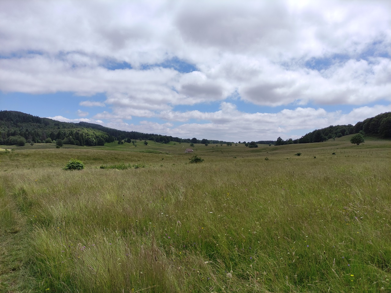 randonnée : tour du plateau de retord